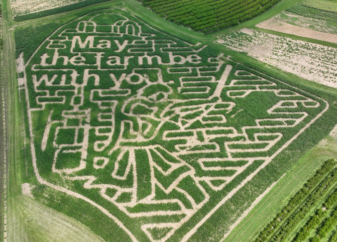 Corn Maze: May The Farm Be With You | Flinchbaugh's Orchard & Farm Market